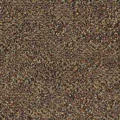 Archetype Basilica Color Chart