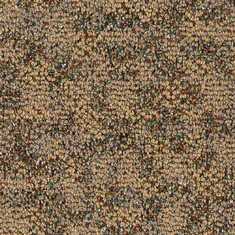 Archetype Basilica Color Chart