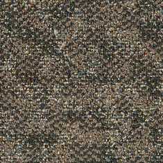 Archetype Basilica Color Chart