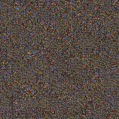 Archetype Basilica Color Chart