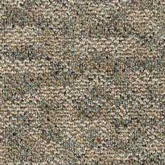 Archetype Basilica Color Chart