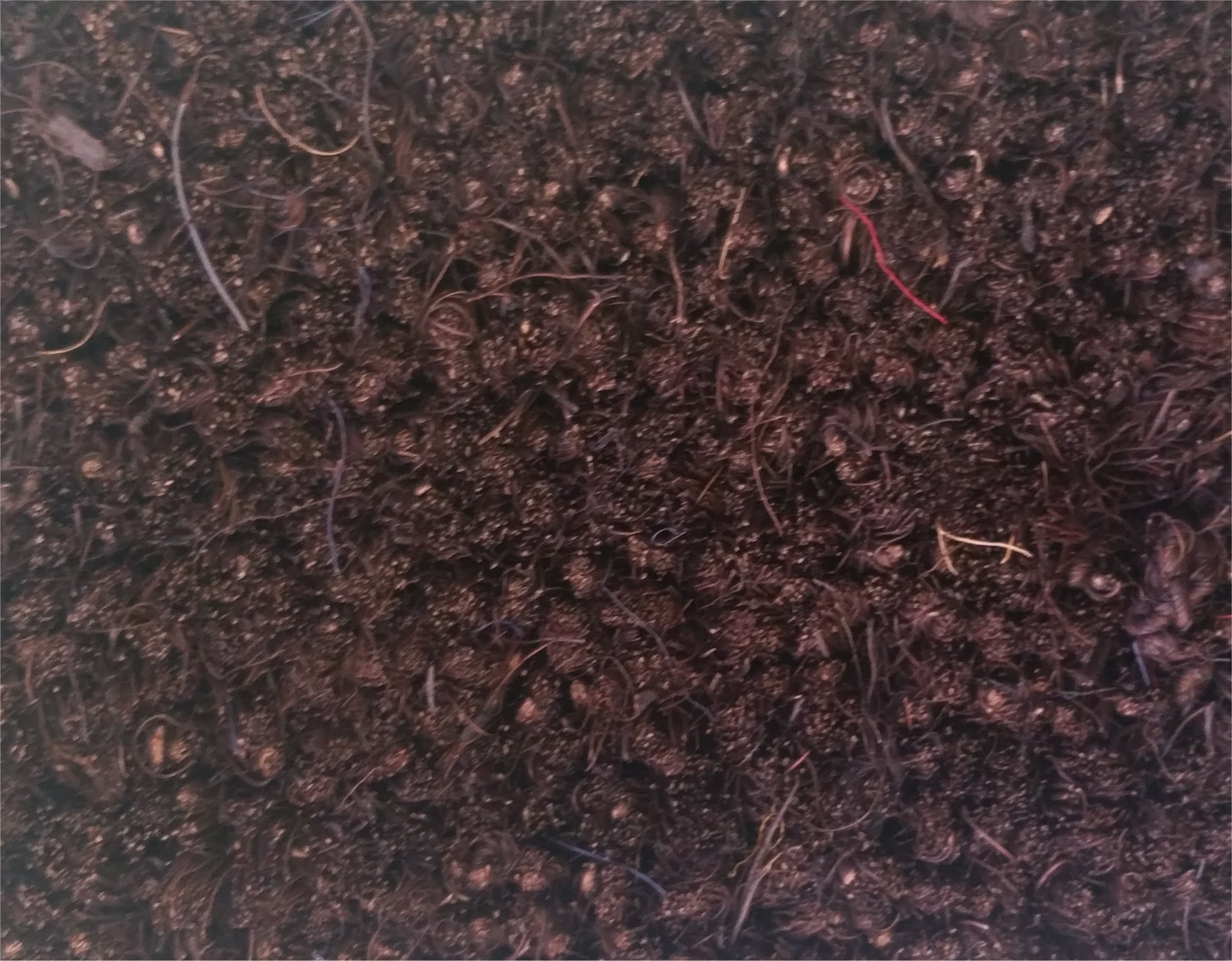 Tier One Colorful Cocoa Matting